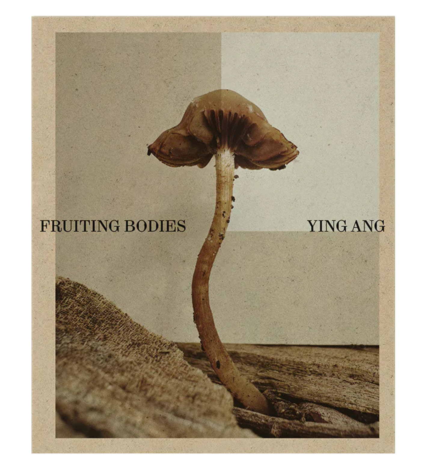 Ying Ang: Fruiting Bodies – TPG Bookshop