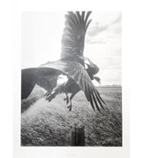 Stephen Gill: The Pillar Poster – TPG Bookshop